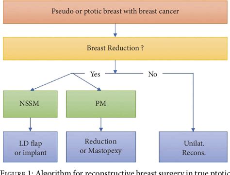 Figure 1 From Useful Reduction Mammoplasty Technique In Oncoplastic Breast Surgery And