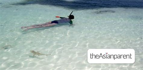 Young Shark Attack Survivor Remains Cheerful Despite Incident