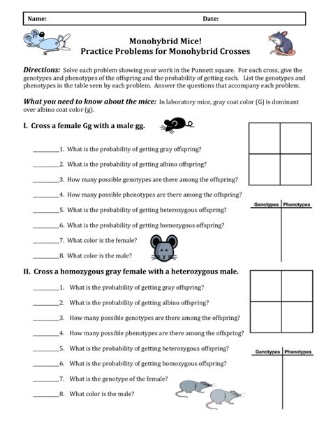 Monohybrid Mice Genetics Worksheet