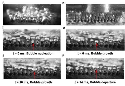 Optical Photograph Demonstrating More Nucleation For A Porous