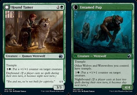 Hound Tamer X 4 Nm Midnight Hunt Magic The Gathering Ebay