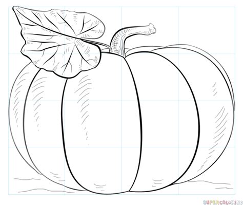 Line Drawing Pumpkin