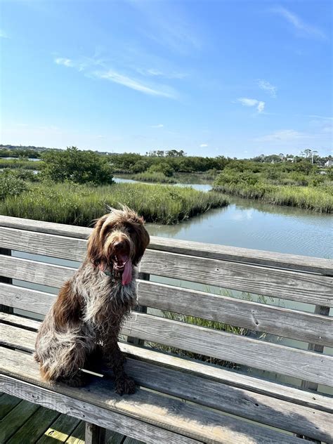 Penny Got Her First Professional Hand Strip Rspinone