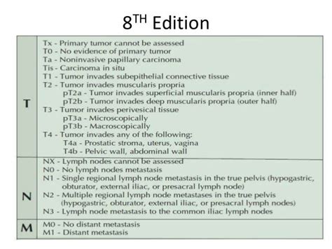 Ajcc Bladder Cancer Staging 8th Edition Cancerwalls