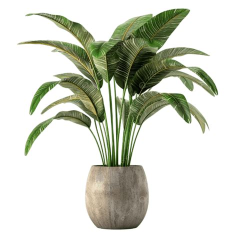 Gambar Tanaman Bunga Dengan Vas Png Vektor Psd Dan Clipart Dengan