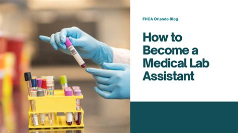 Clinical Assistant Vs Medical Assistant Key Differences Explained