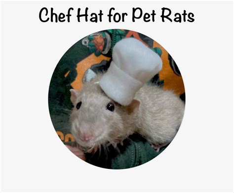 Remy Ratatouille Chef Hat