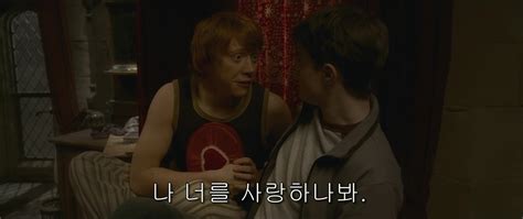 해리포터와 게이들 자막만든 놈 나와ㅋㅋㅋ 인스티즈 Instiz 이슈 카테고리
