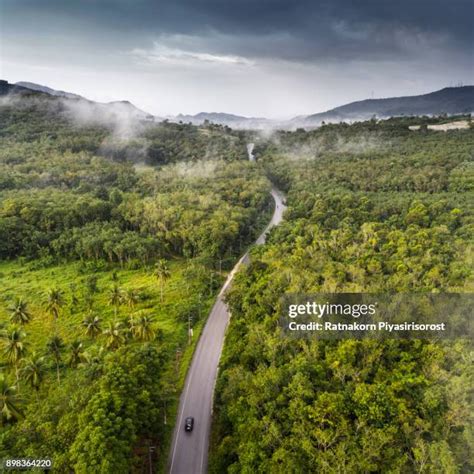 Road Top View Forest Photos And Premium High Res Pictures Getty Images
