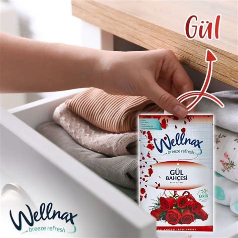 قیمت و خرید خوشبوکننده و ضد بید کمد لباس ولنکس مدل Roze Garden حجم 210