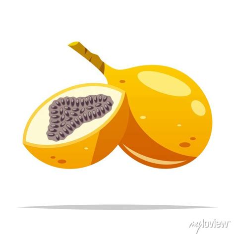 Yellow Passion Fruit Sweet Granadilla Vector Illustration Posters For