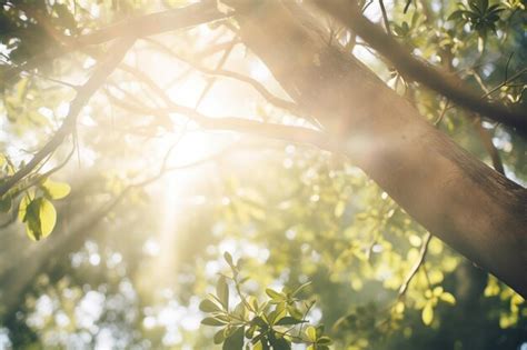 Premium Photo Sun Rays Piercing Through A Thick Canopy