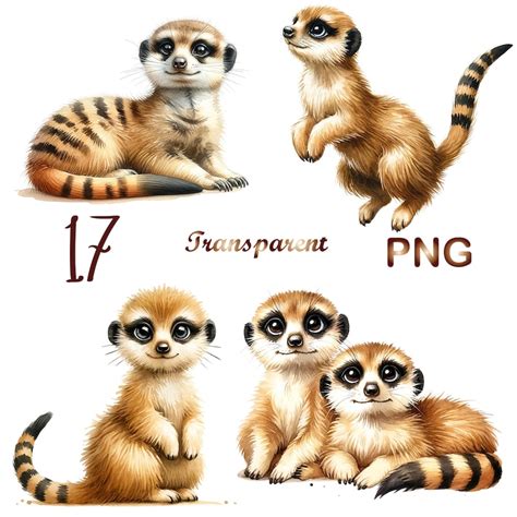 Meerkat Clip Art Etsy