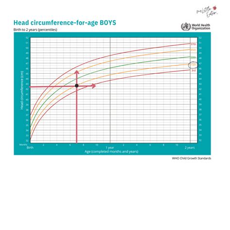 Fetal Growth Chart Percentile