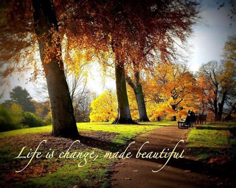 Dennis Layton Dennislayton Twitter