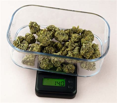 Weed Measurements A Visual Guide Sensi Seeds
