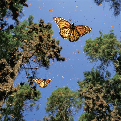 Alexander Malofeev Broadstage