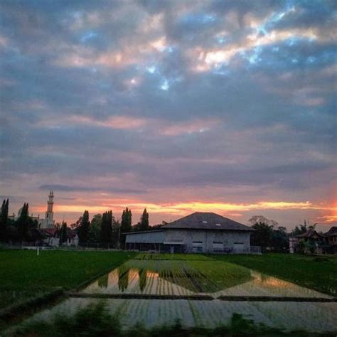 Nerisha Ray Singh Gurushots