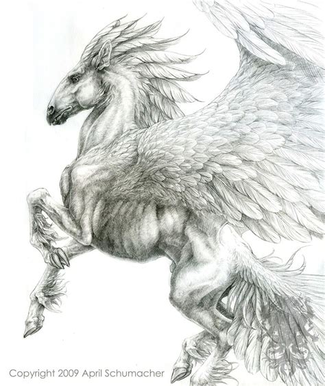 Pegasus Drawing Picture Drawing Skill