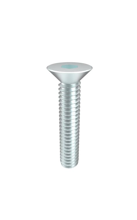 Socket Screws Bremick