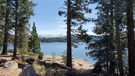 You Can See Bears In These 20 California Spots