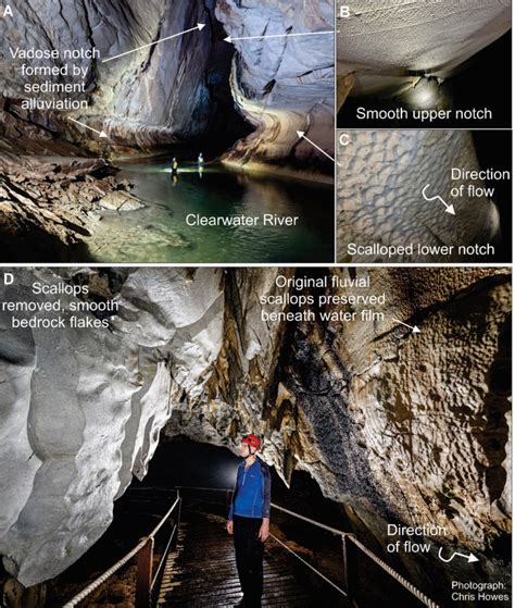 Borneo Caves Sculpted By Bat Guano A Major Discovery In Tropical Karst