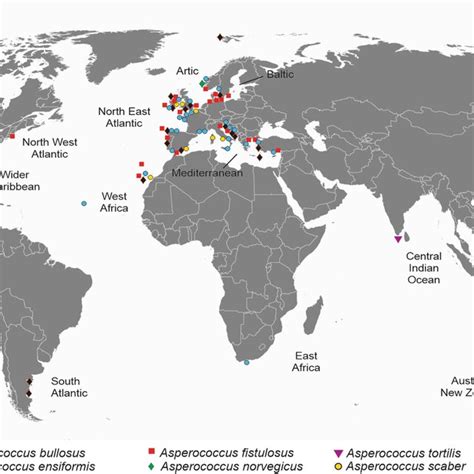World Distribution Of Species Of Asperococcus Colored Symbols