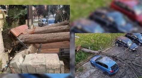 Era E Fortë Rrëzon Pemët Nëpër Shkup Ts