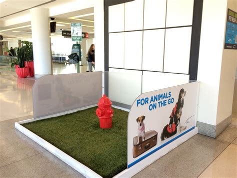 Artificial Grass Pros Of Houston Updated April 2024 Houston Texas Artificial Turf Phone