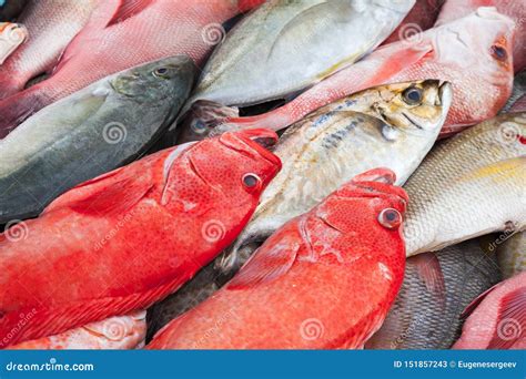 Colorful Fresh Fish Assortment Malaysia Stock Image Image Of Fresh
