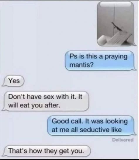 Memes When Nature Gets Too Flirty Facebook