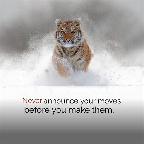 Lion Winter Quotes Issues Lion Magazine