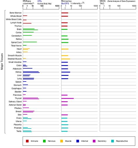 Lrp2 Gene Genecards Lrp2 Protein Lrp2 Antibody
