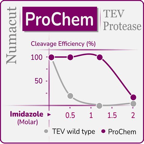 Order Numacut Tev Protease Numaferm Gmbh