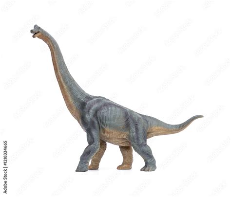 Dinosaur Long Necked Brachiosaurus Name Is Sauropod Herbivore In The