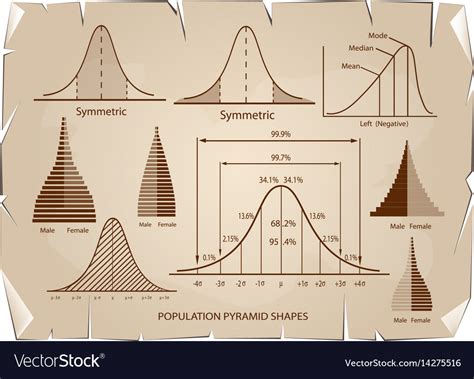Standard Deviation Diagram With Population Pyramid