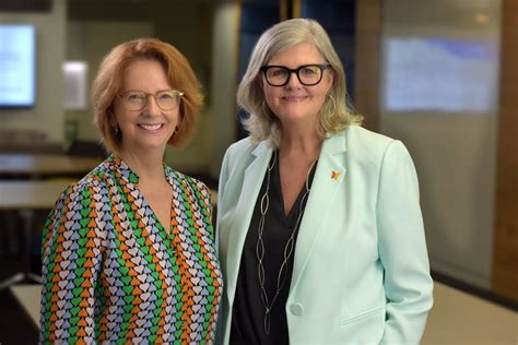Sam Mostyn Ao Replaces Julia Gillard As Chair Of Beyond Blue Womens
