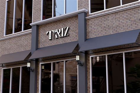 ‎هستی حسینیطراحی لوگو‎ ‎پیشنهاد اسم و طراحی لوگو گروه ساختمانی تاریز آریزسرچشمه ت ابتدای