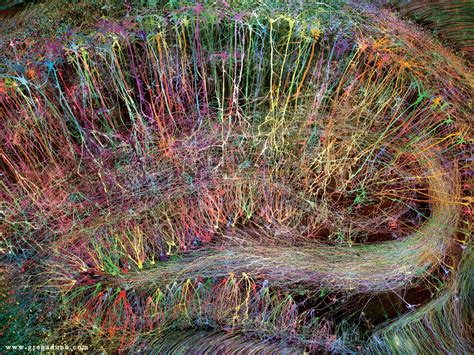 Gorgeous Brain Art Brainbow Hippocampus Greg Dunn Design