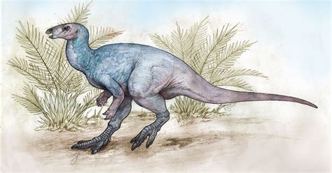 Chakisaurus Nekul Hallaron En Río Negro A Un Dinosaurio Que Vivió Hace