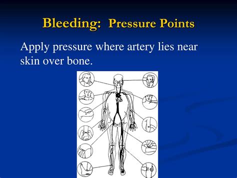 Ppt Basic First Aid Powerpoint Presentation Free Download Id 5565261