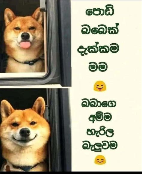 Unga Bunga R Brandnewsentence