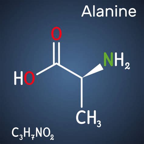 Alanine Structural Formula Illustrations Royalty Free Vector Graphics