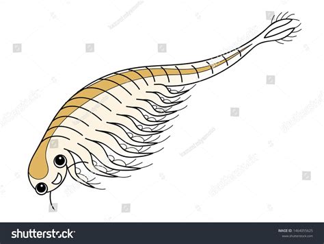 Artemis Character Illustration Clip Art Cartoon Ad Ad Illustrationcharacterartemis