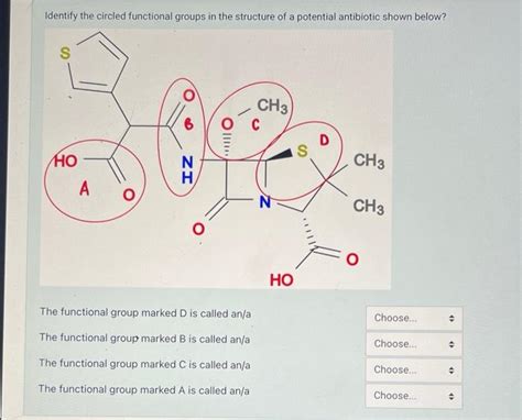 Solved Identify The Circled Functional Groups In The