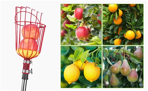 Toovem Fruit Picker Pole Tool With Basket Telescoping 8ft