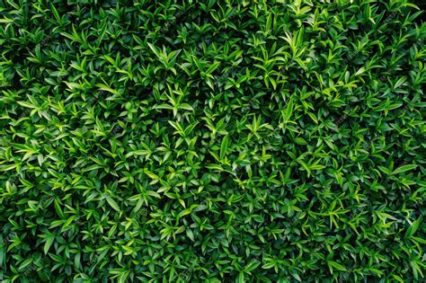 Premium Photo Green Grass Wall Texture For Backdrop Design And Eco Wall And Die Cut For Artwork