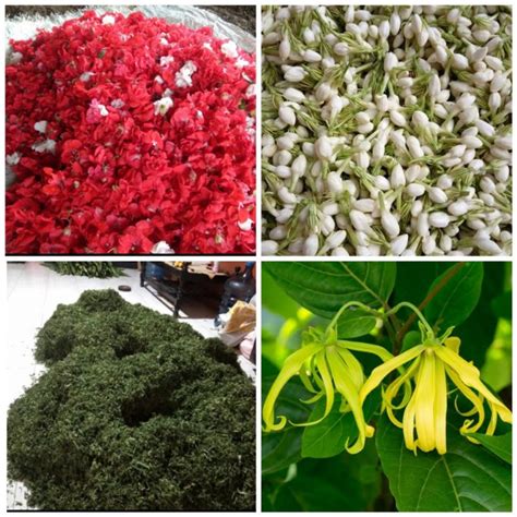 Jual Kembang Tabur Makam Ziarah Campur Shopee Indonesia