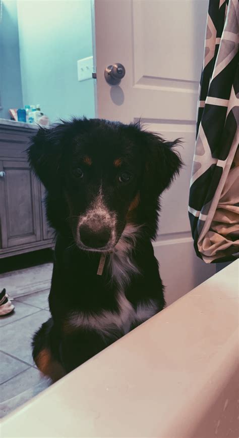 Gallery Edwards Caitlyn Vsco