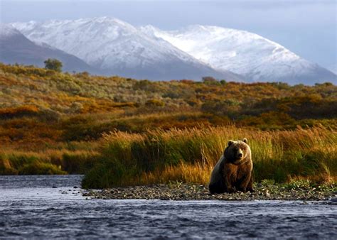 Visit Kodiak Island On A Trip To Alaska Audley Travel Uk